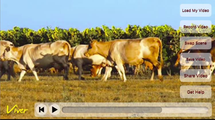 Viver App by FlixBay Technologies Inc.