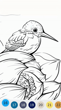 Zen Color - Color By Number by Oakever Games