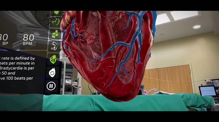 INSIGHT HEART Lite by ANIMA RES