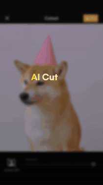 ImgPlay: GIF Maker & Meme by ImgBase, Inc.