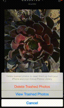 Slidebox is iPhone photo management done right